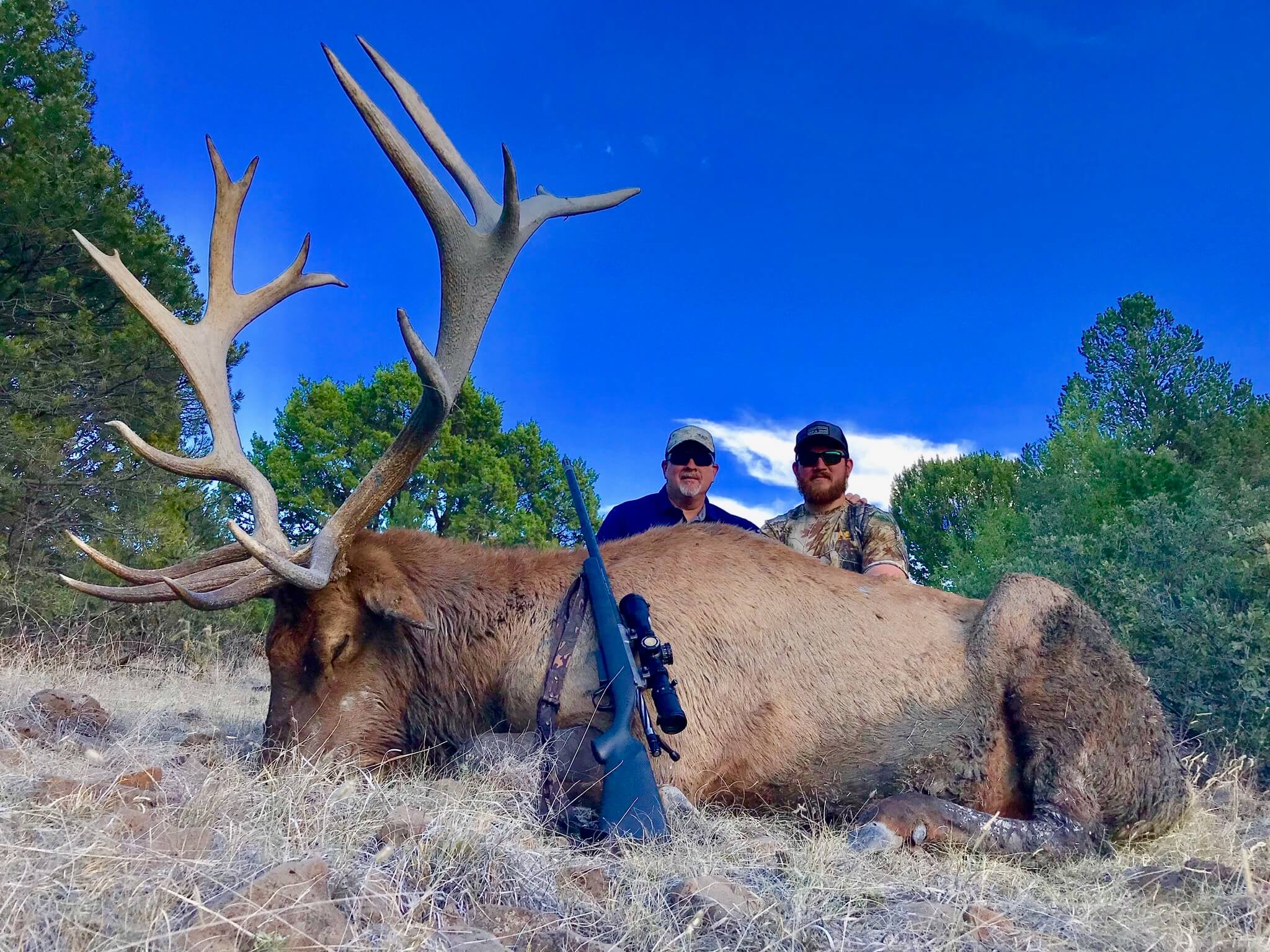 Cotton Mesa - Trophy