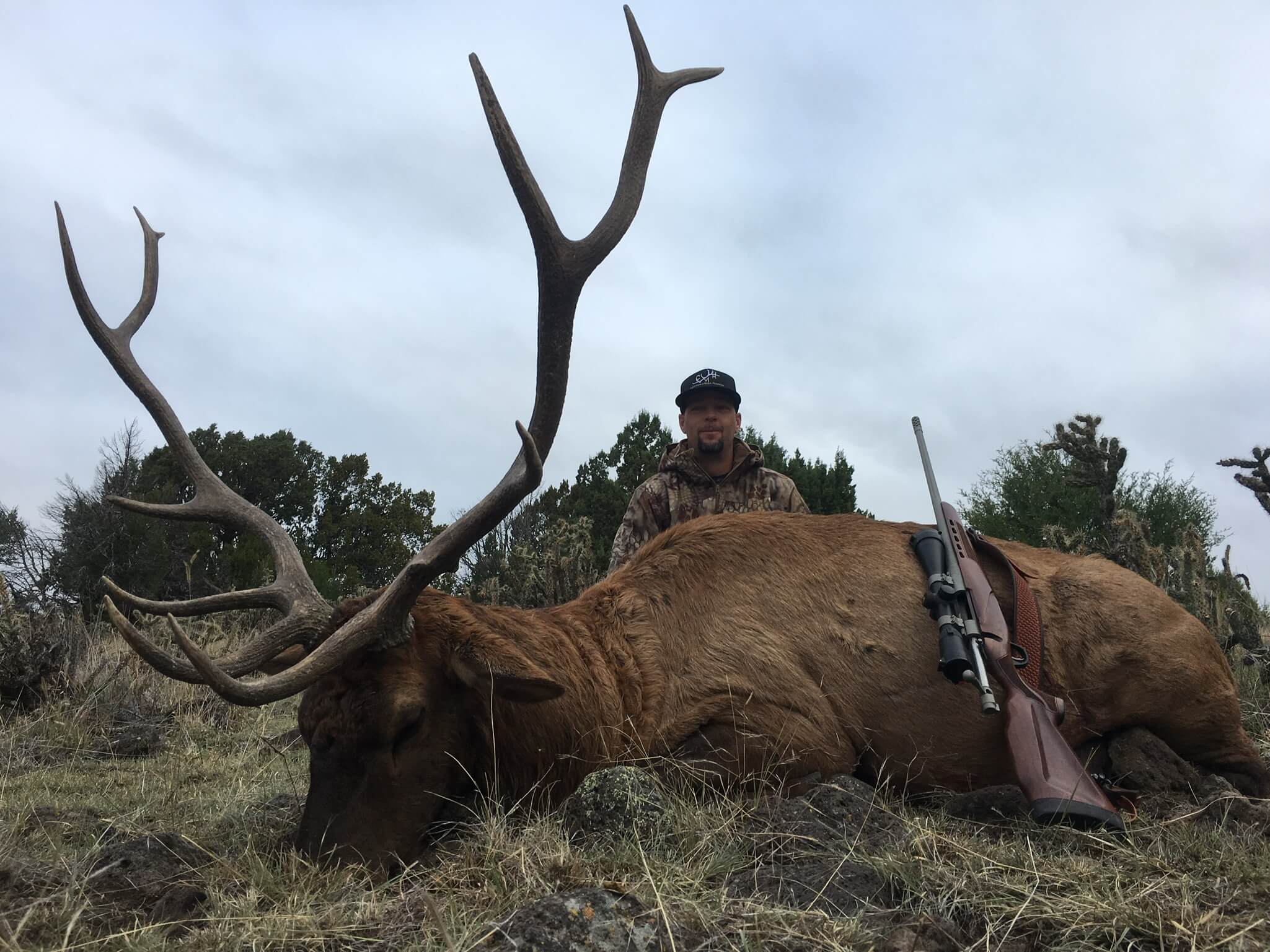 Cotton Mesa - Trophy