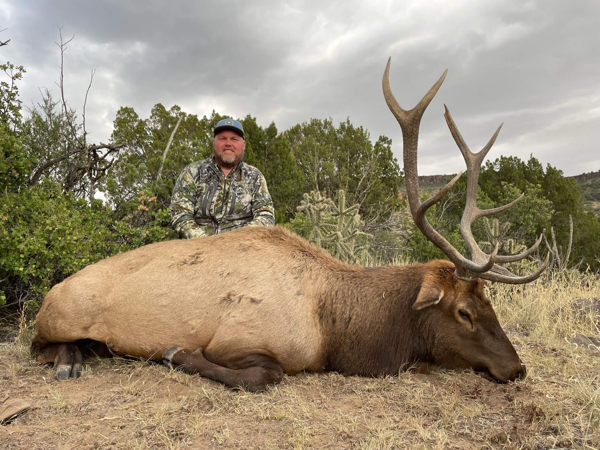 Cotton Mesa - Trophy