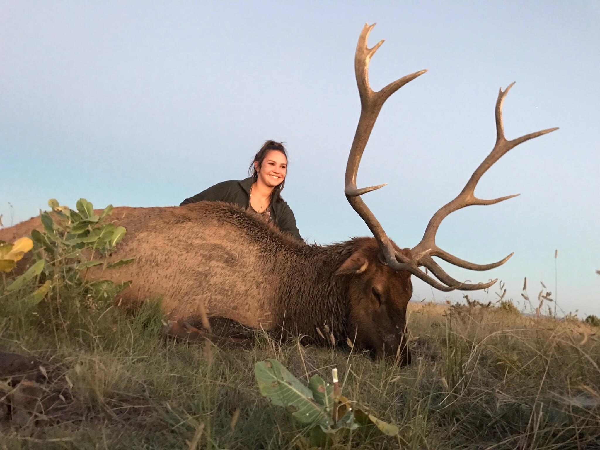 Cotton Mesa - Trophy