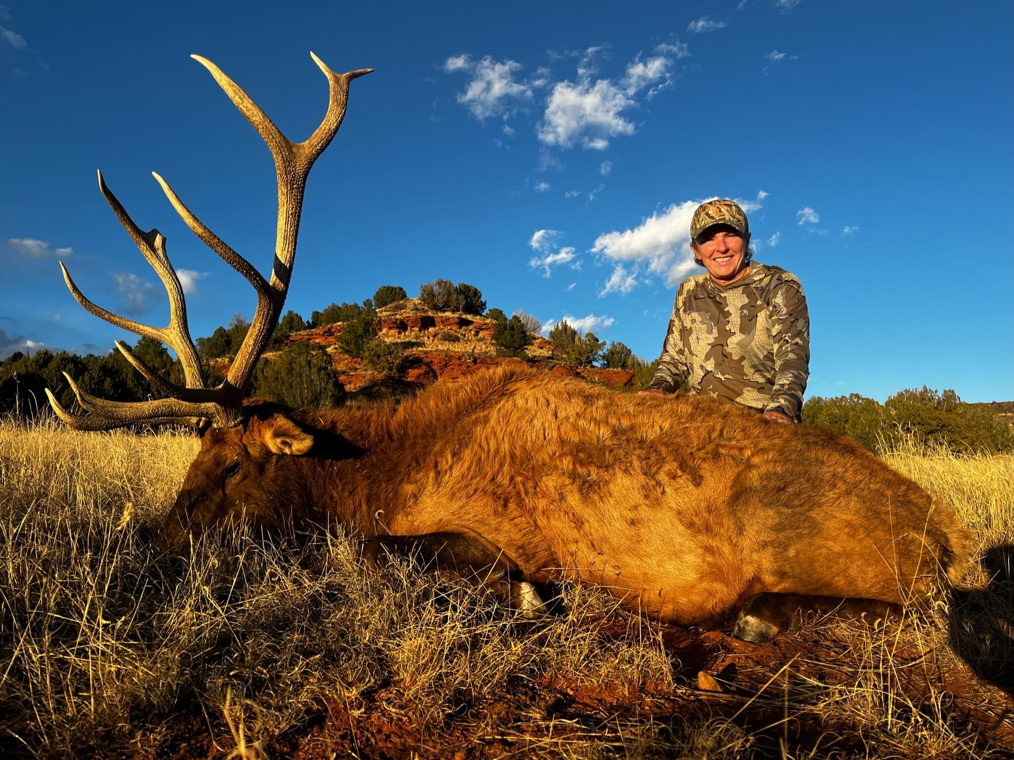 Cotton Mesa - Trophy