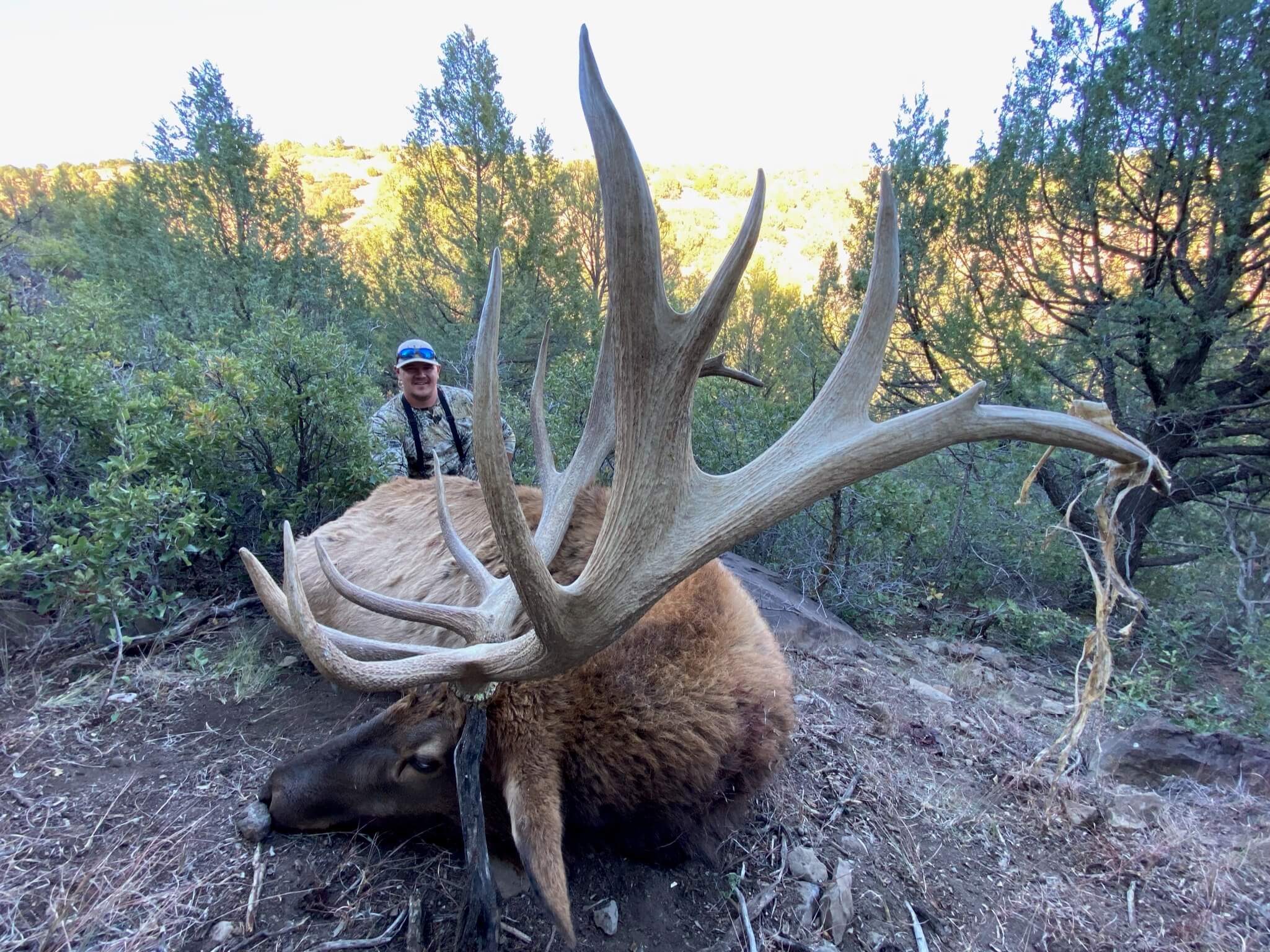 Cotton Mesa - Trophy