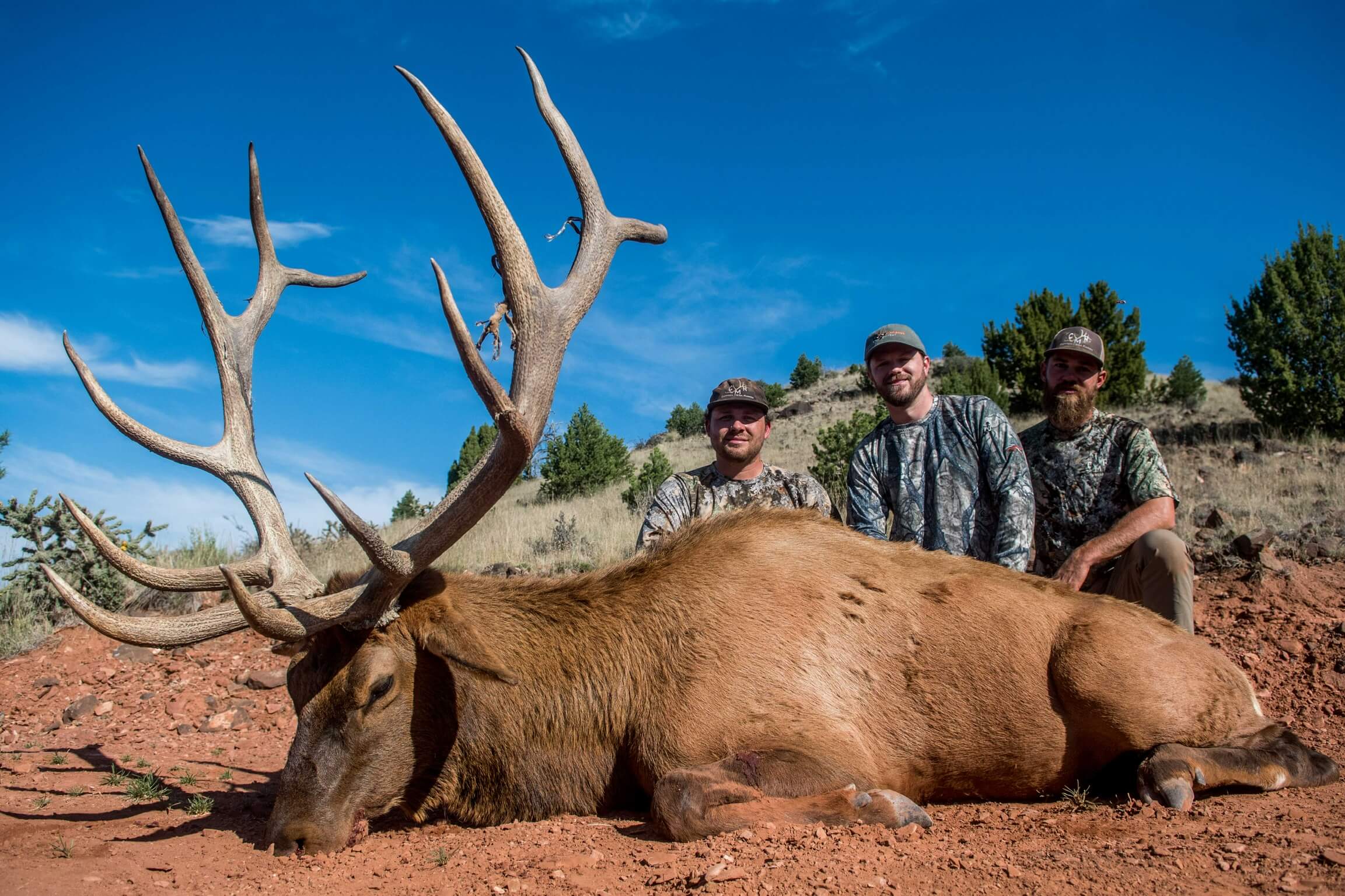 Cotton Mesa - Trophy