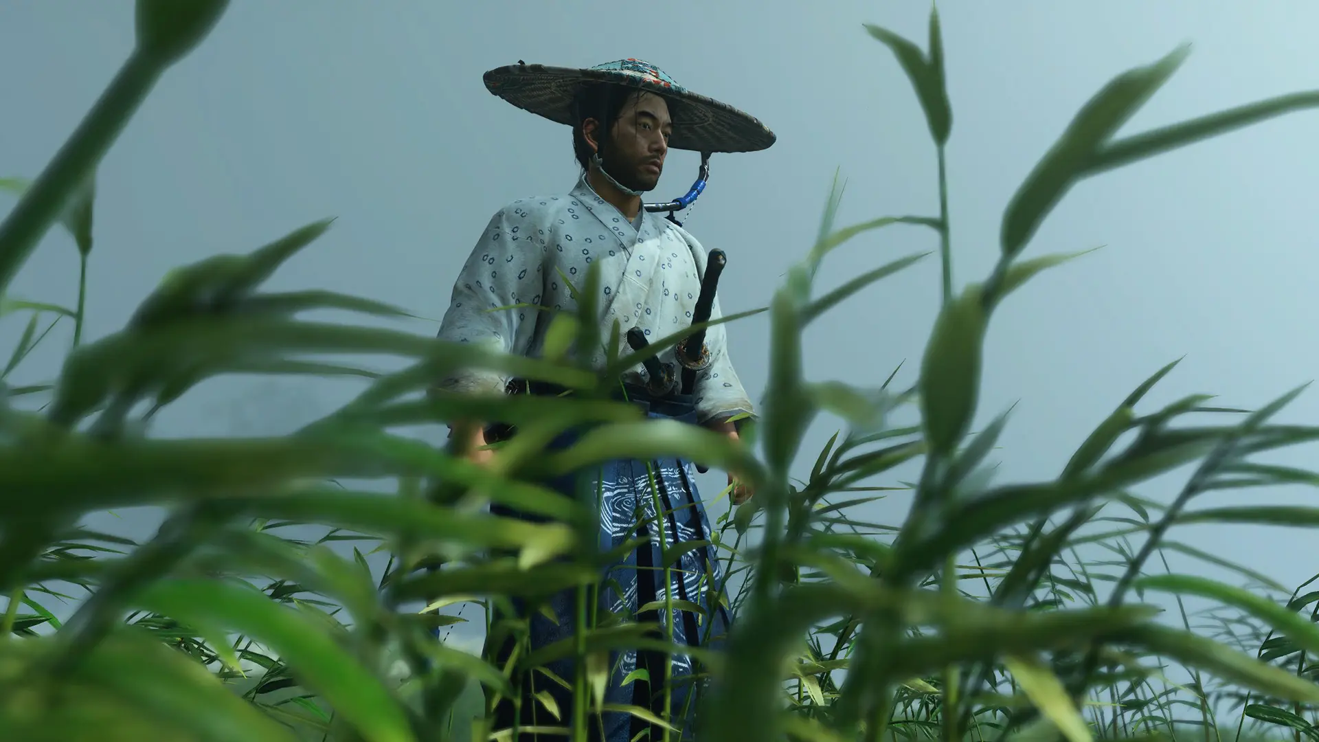 Ghost of Tsushima Director's Cut is a Beautiful Game - Image Gallery | two-minute ramble