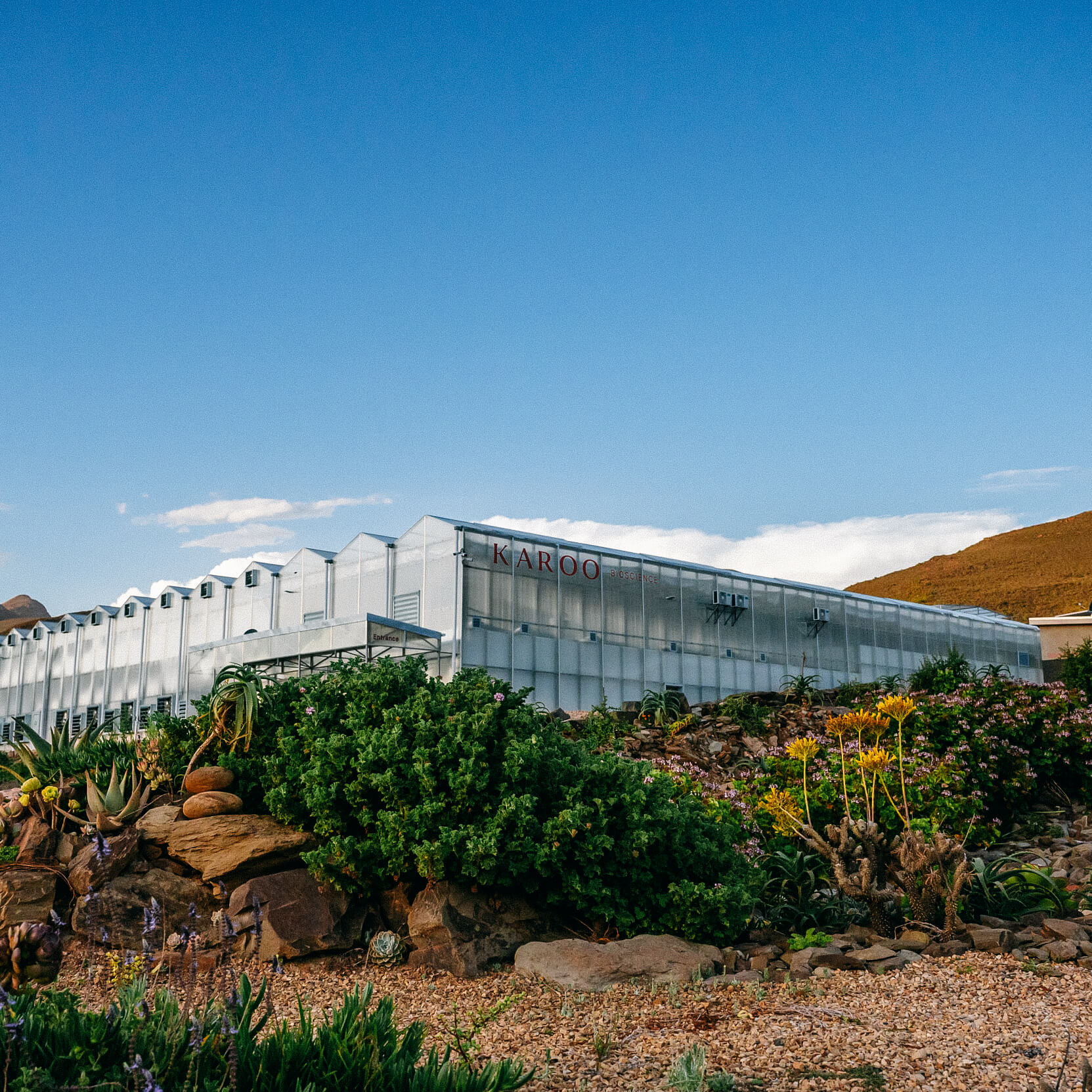 Karoo Bioscience