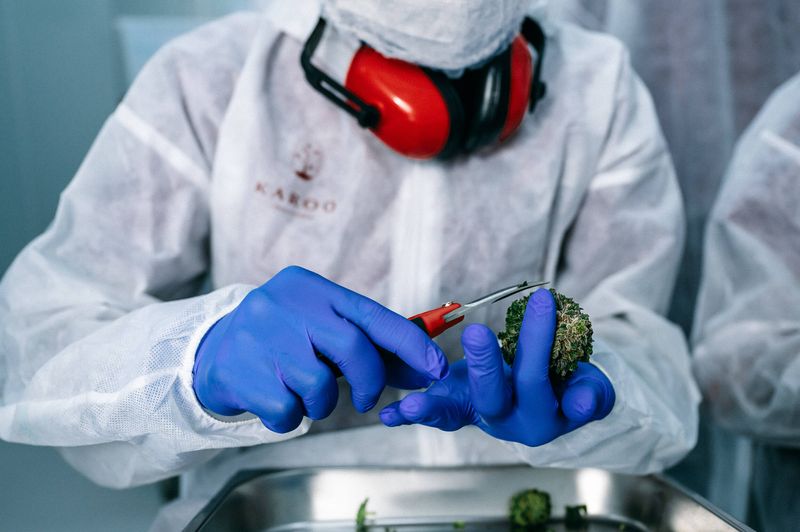 Karoo Bioscience Products