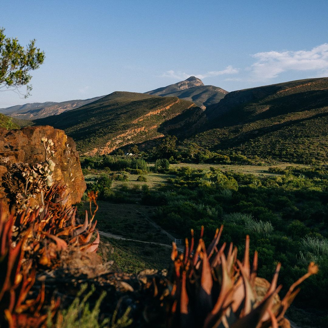 Karoo Bioscience Location