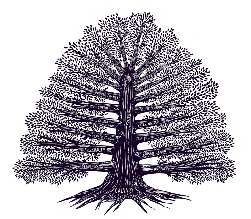 Latin Mass Near Me & FAQs