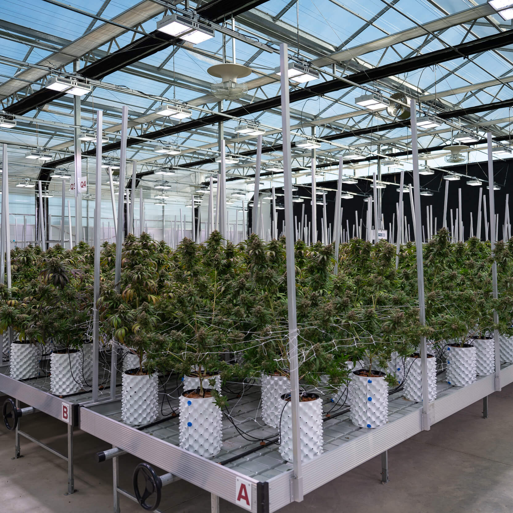 Karoo Bioscience Products