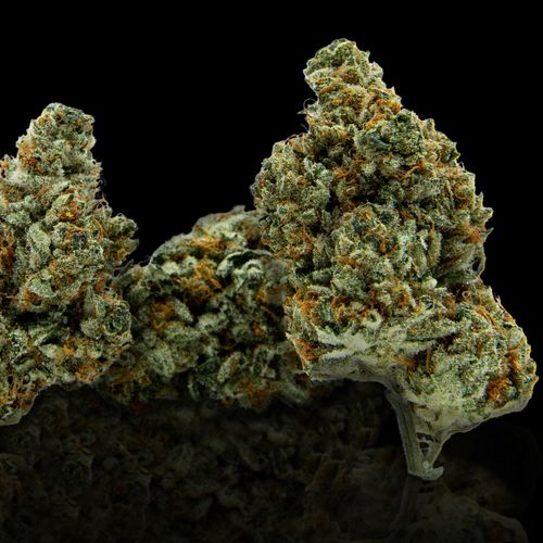 Karoo Bioscience Products