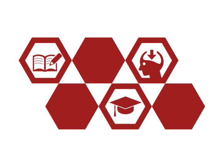 Minerva Education Group