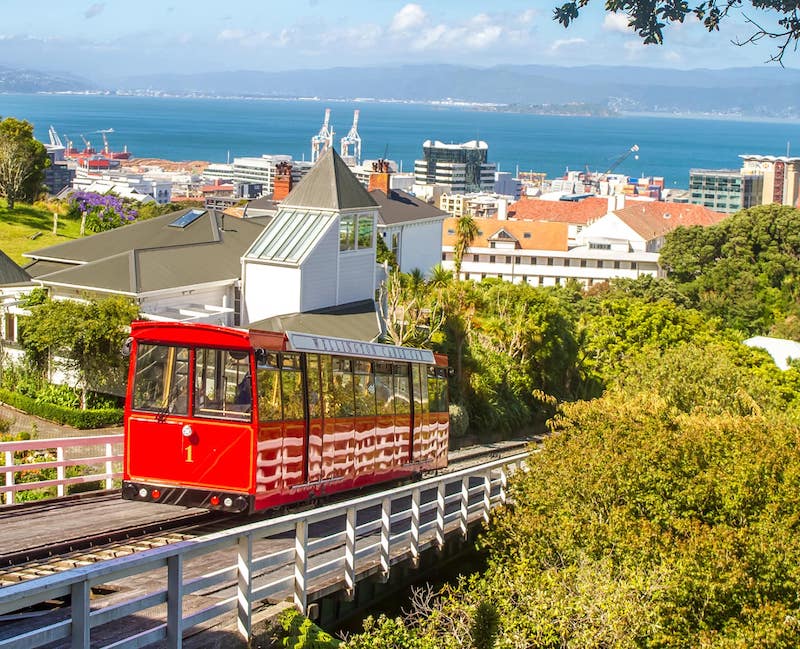 Activities & Location | Visit Wellington