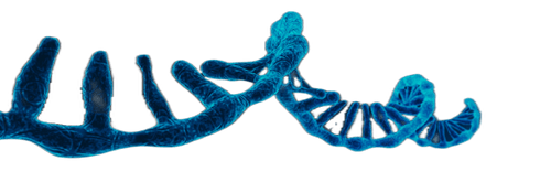 Sensible Biotechnologies - mRNA. Made better.