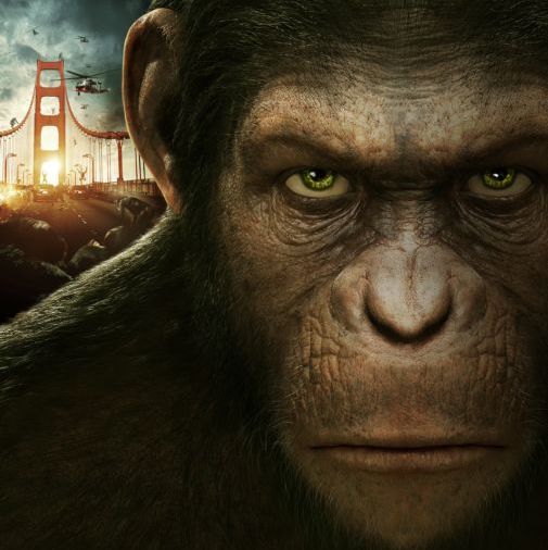 Reeva Mishra | Microsoft | UCSB CS | AI, ML & Full-Stack Engineer