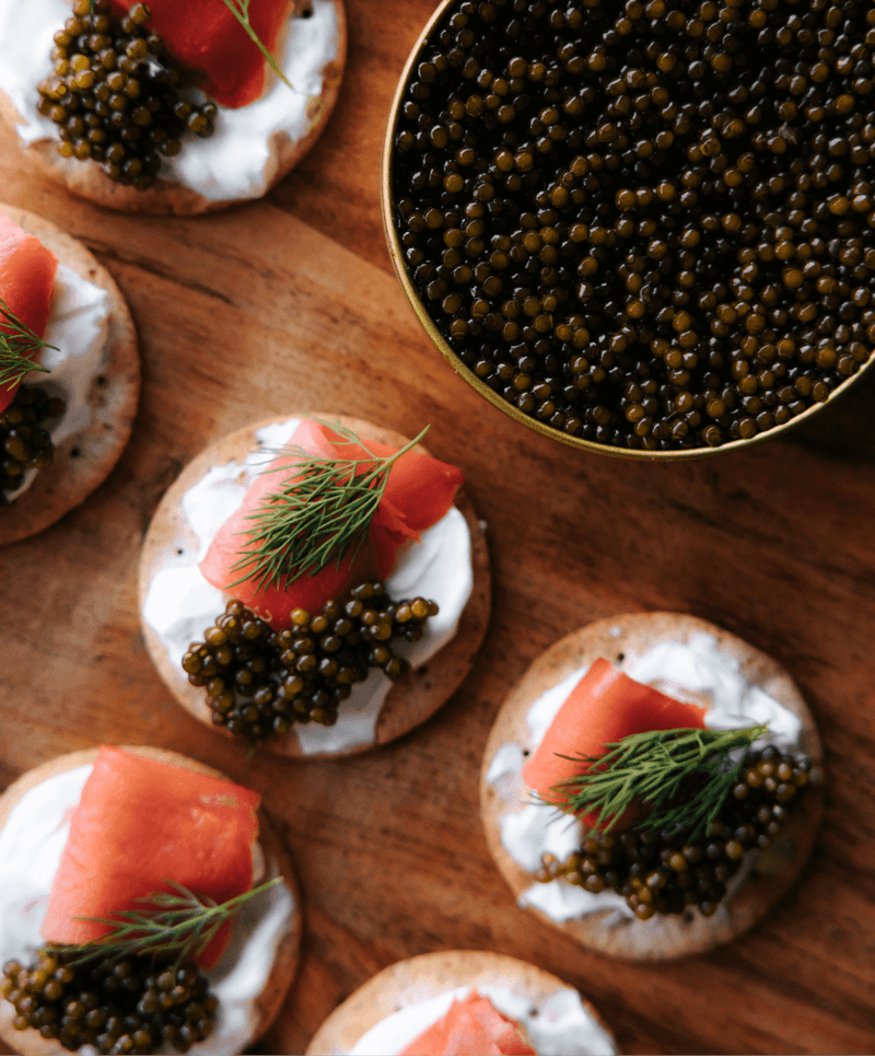 Bar Olivette • Coming to Wagga 2023