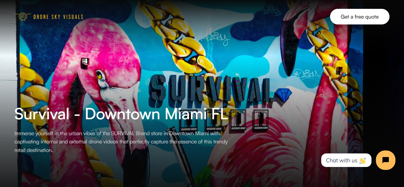 Survival | Drone Sky Visuals