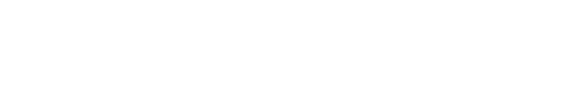 Award Winning SEO Agency | Kia Ora Digital