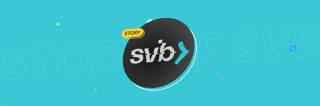SVB’s collapse explained in 6 steps - Every.io
