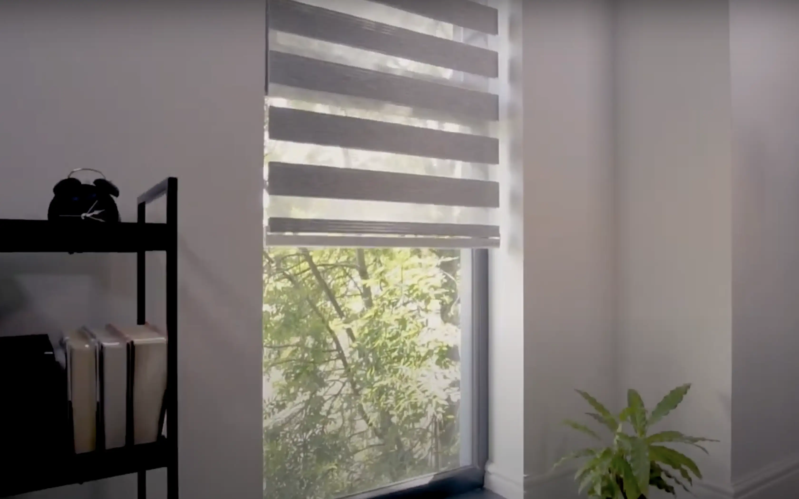Zebra Blinds Case Study | Ananas Media