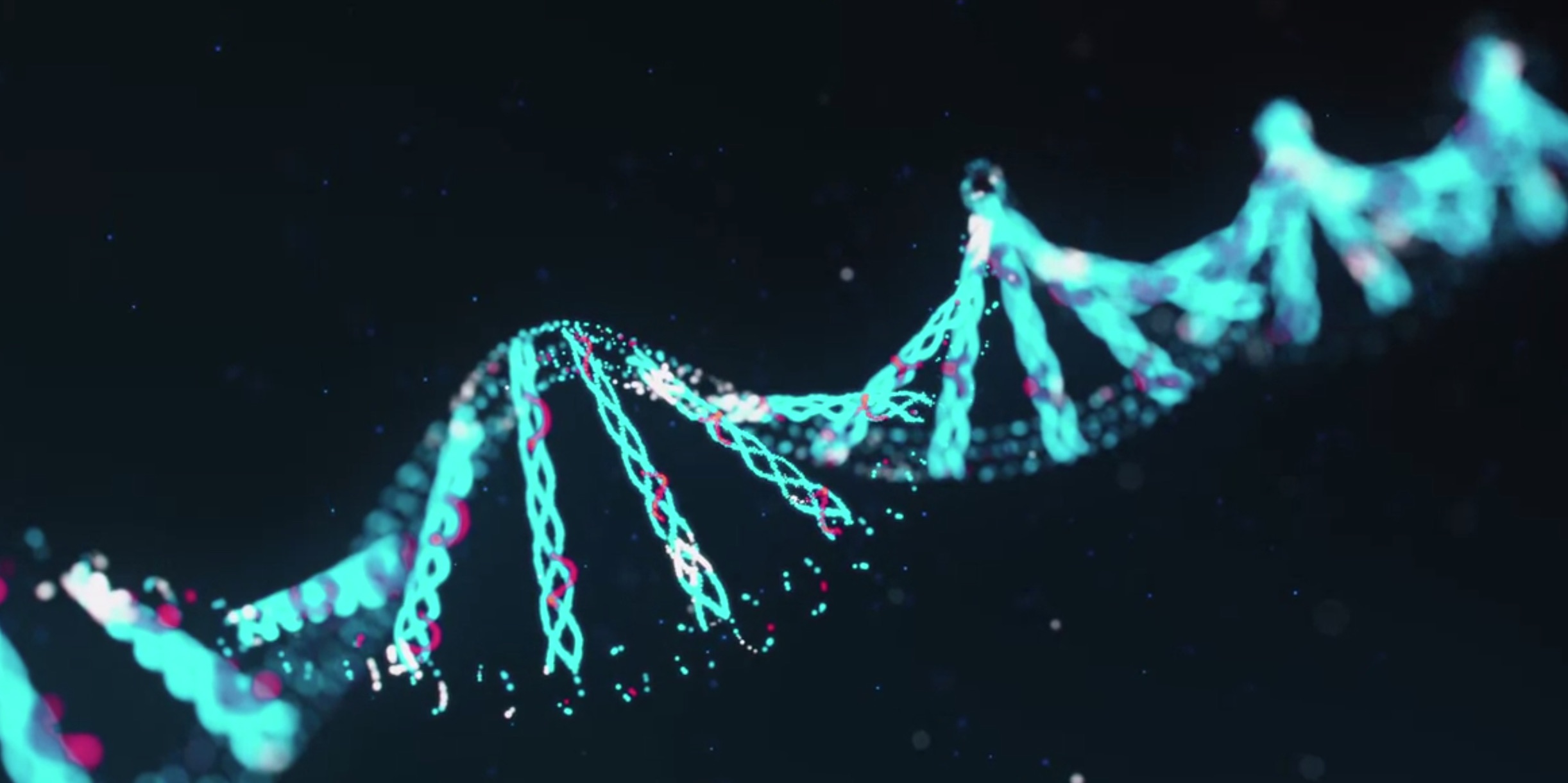 Coordination Network