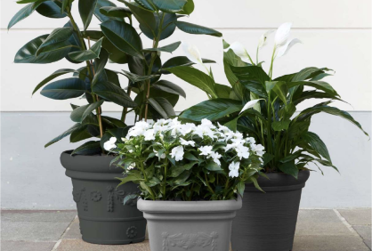 IPAE ProGarden | SIT Outdoor