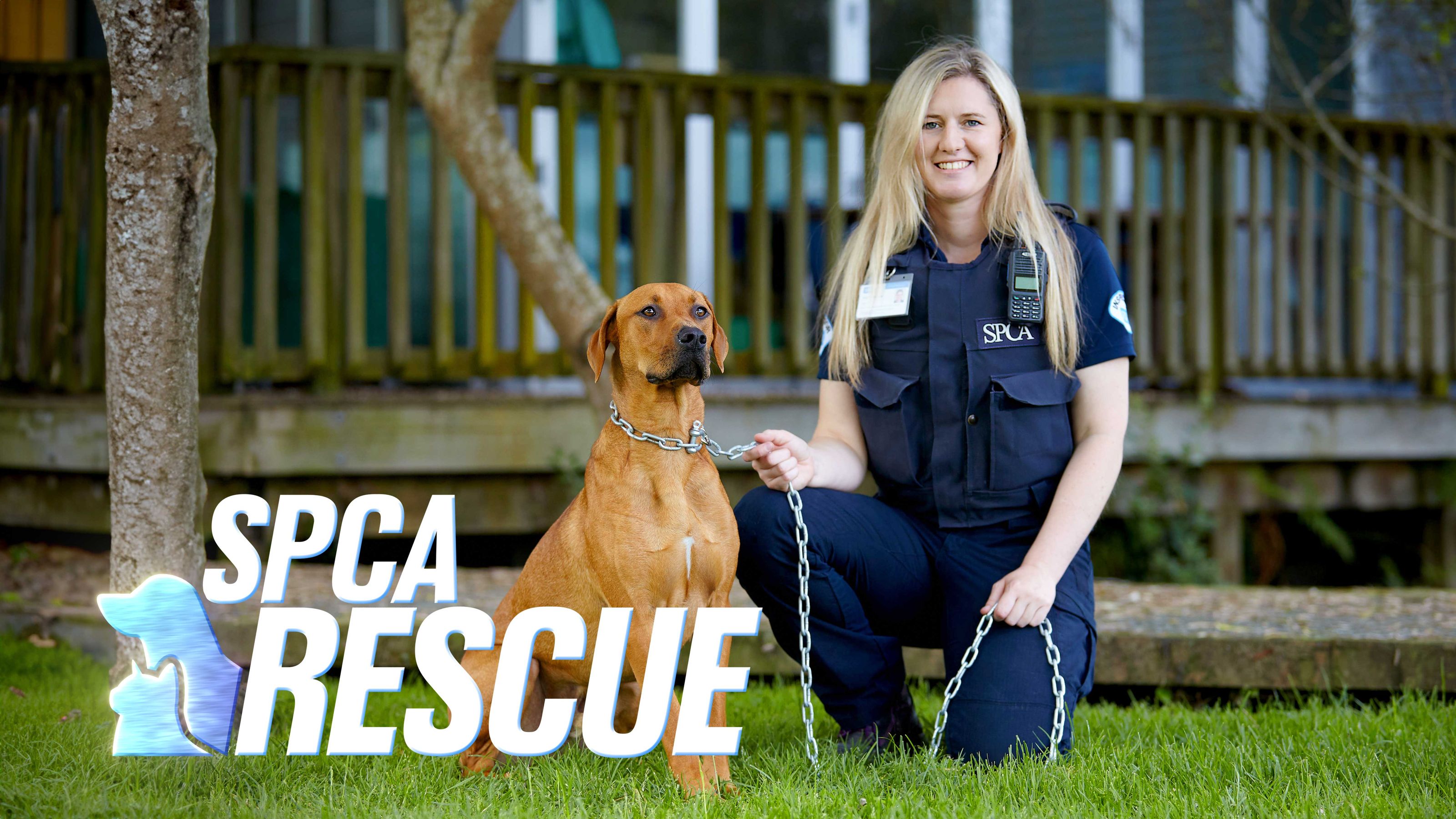 Imagination TV | SPCA Rescue