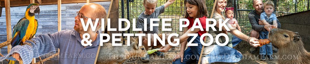 The Dunham Farm - Silkie Chickens, Bunies, and Petting Zoo