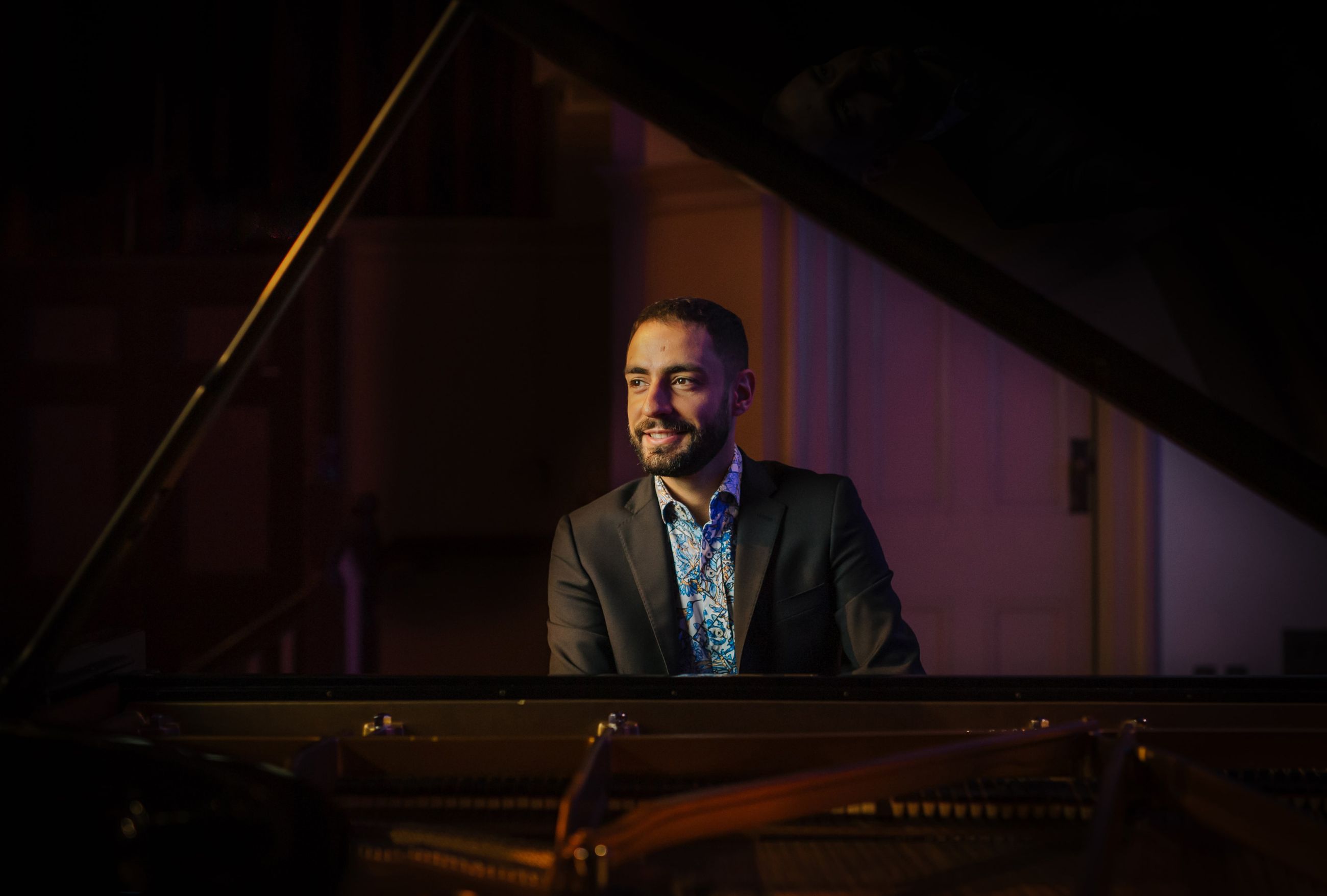 Flavio Villani - Pianist