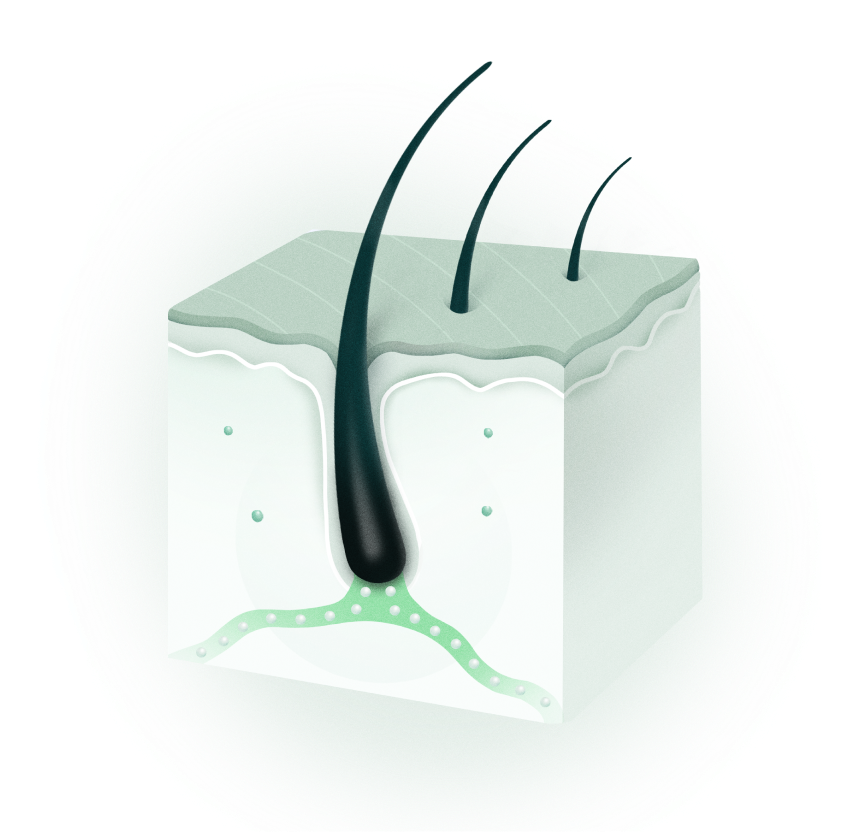 Complete Hair Loss Spray