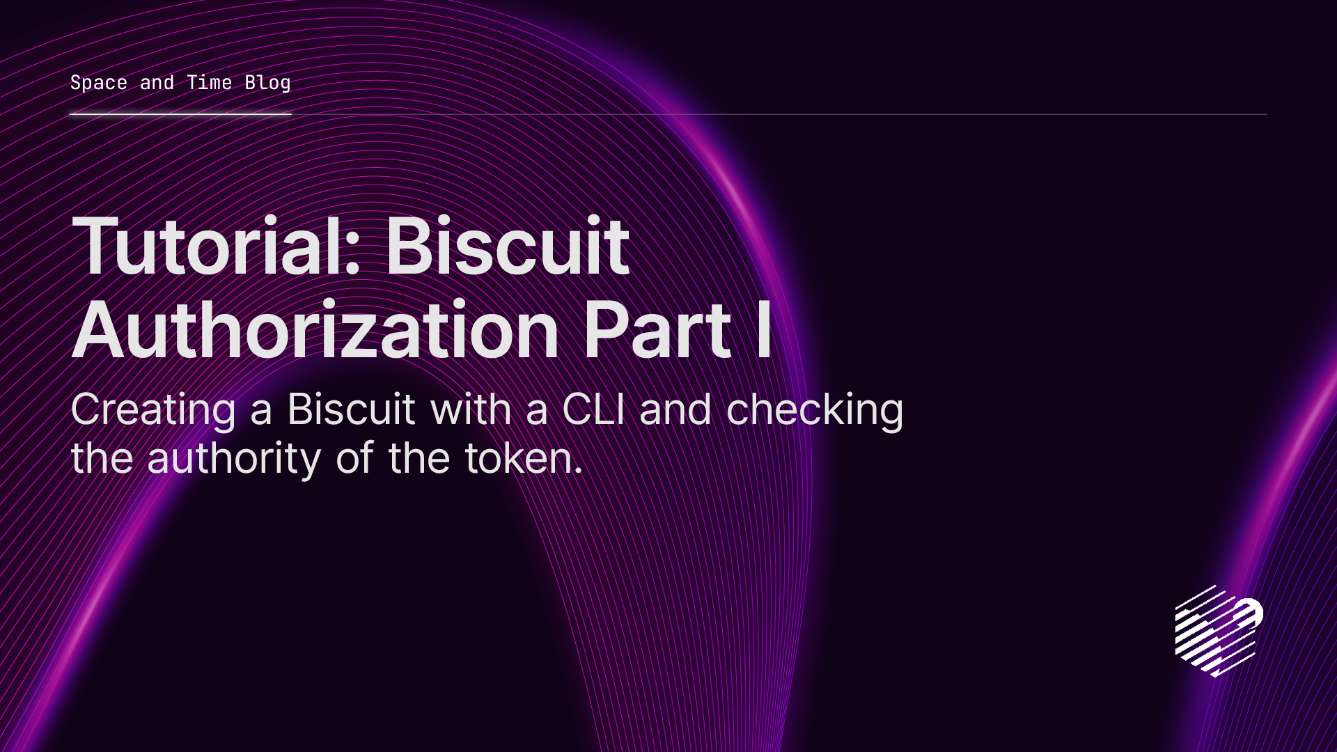Space and Time Blog | Biscuit Authorization Part I