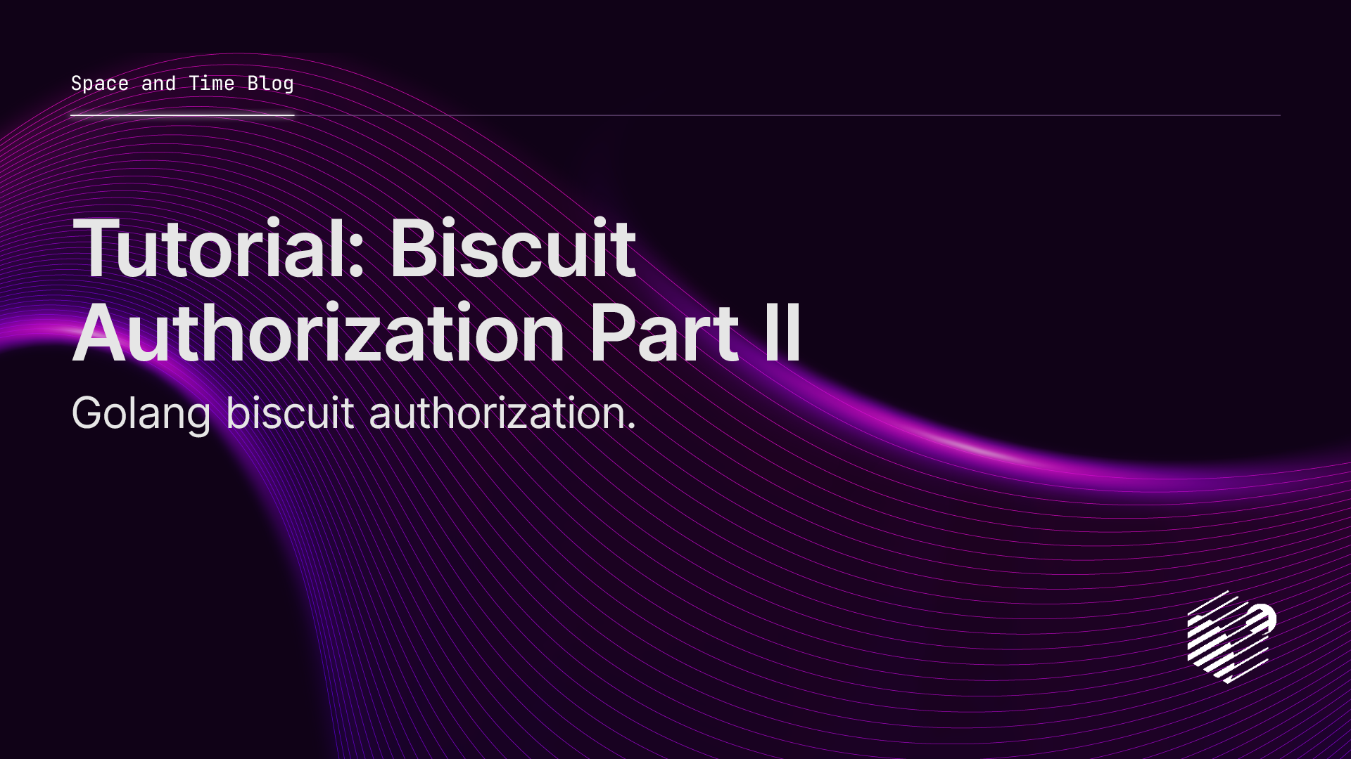 Space and Time Blog | Biscuit Authorization Part II