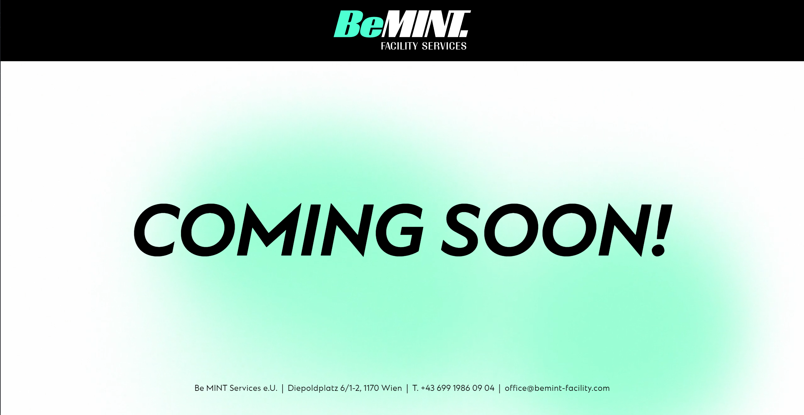 BeMint - Facility Services