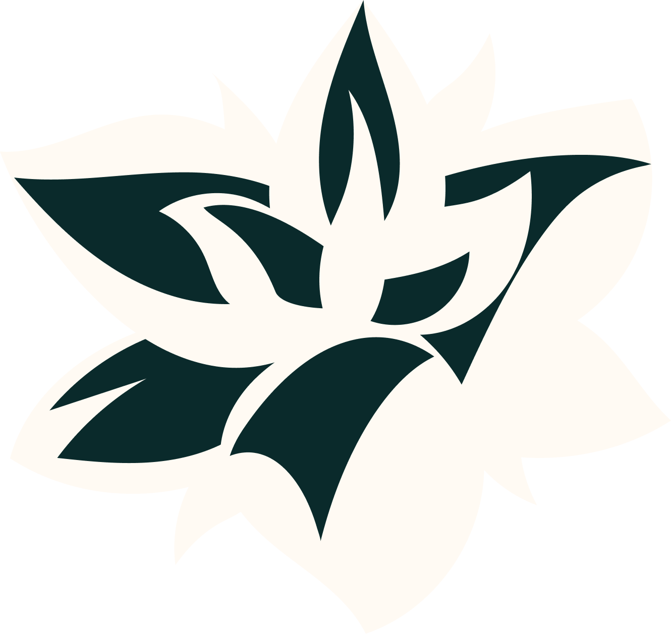 Ramalama - Web Design, Dévelopeur Webflow & Branding