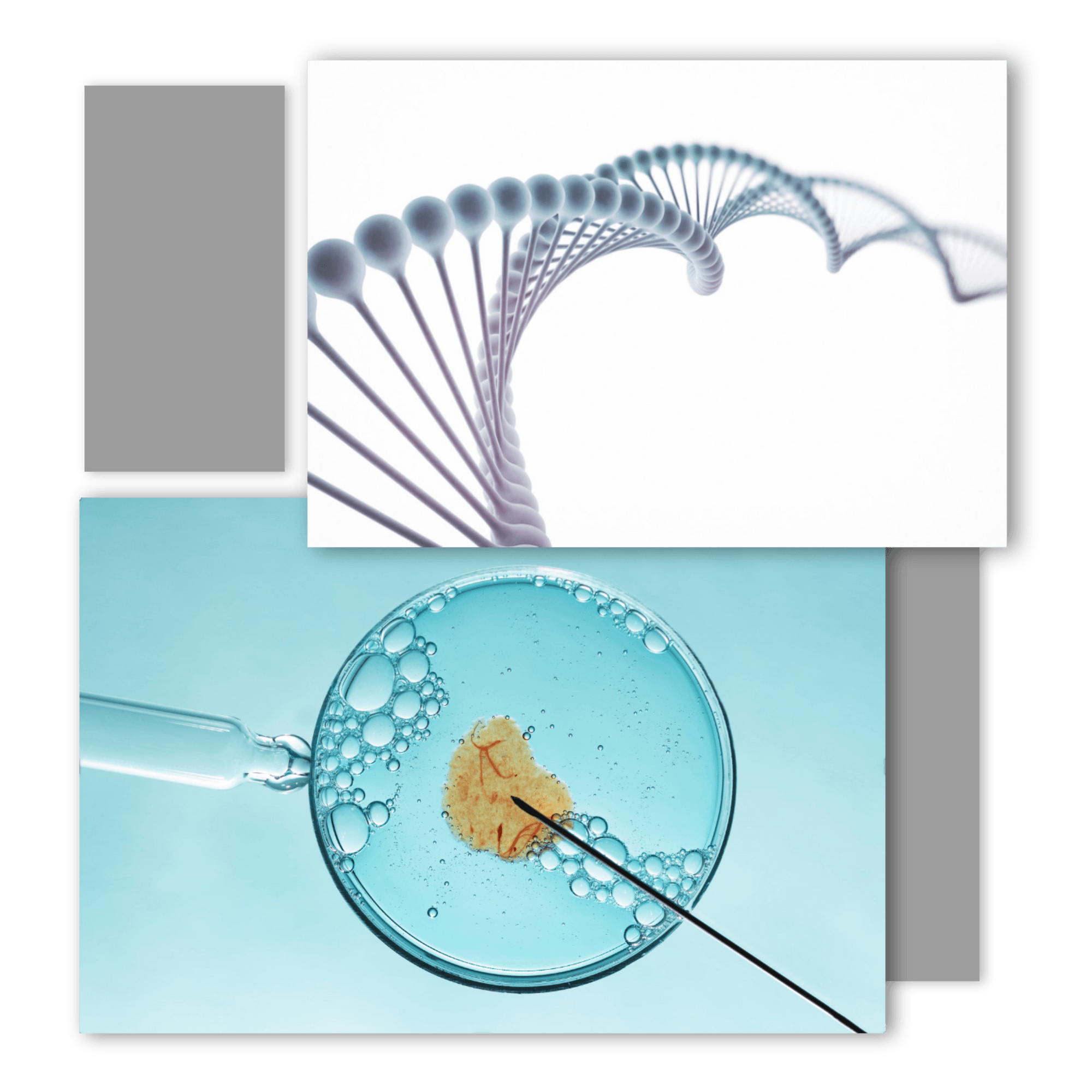 Pre-Cure.bio - Official site