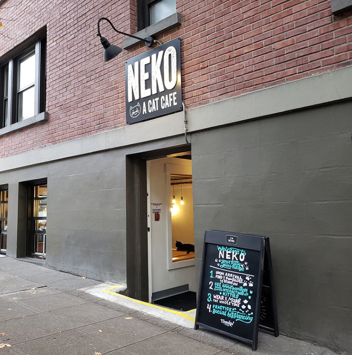 Neko Cat Cafe