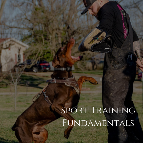 Legendary Working Dogs