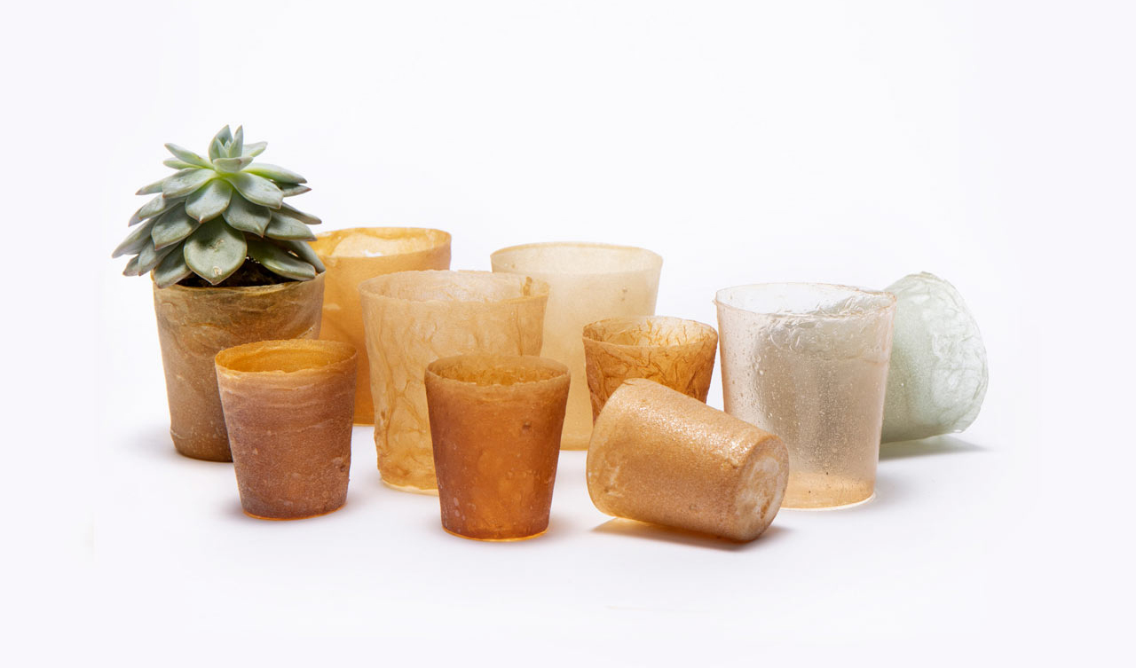 Can Bioplastics Save The World? — Analogue