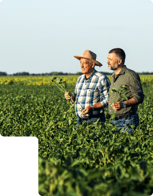 The movement for Regenerative Agriculture