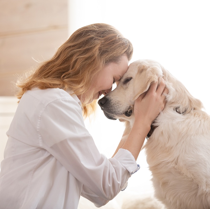 Dog Training Tips Blog