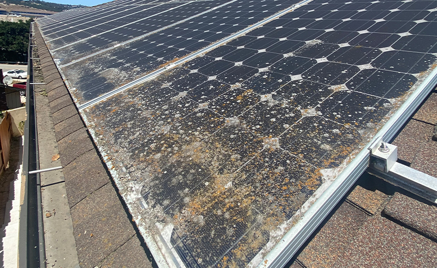 Our Solar Panel Cleaning Services | Smith Solar Cleaning Services