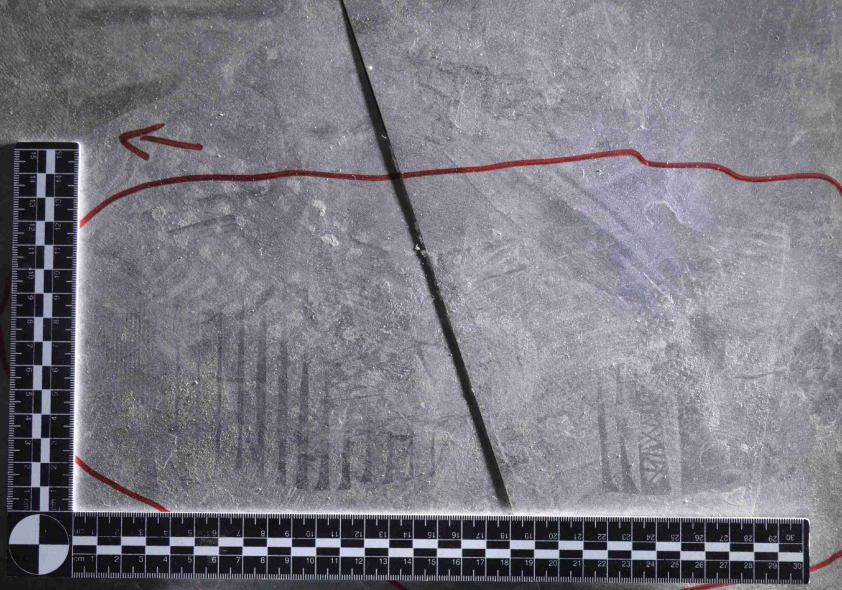 The importance of footwear impressions and shoe model database - Everspry