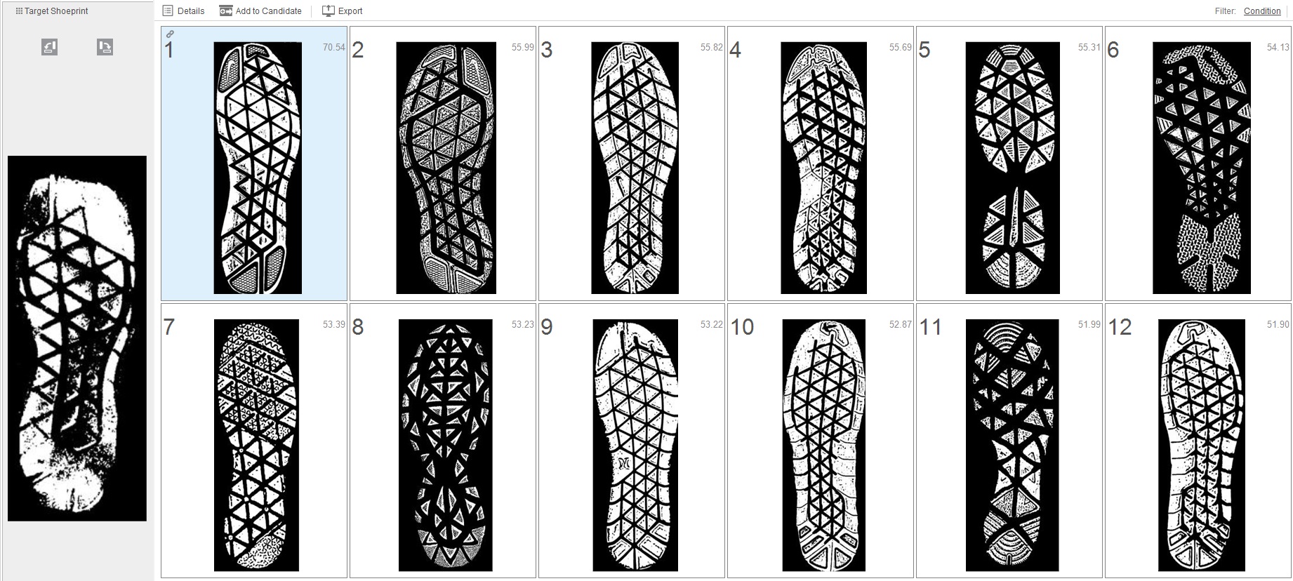 The Evolution and Application of Shoeprint Evidence
