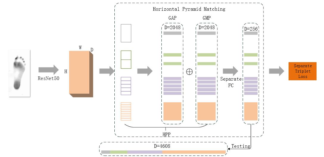 Algorithm of Personal Recognition Based on Multi-scale Features from Barefoot Footprint Image