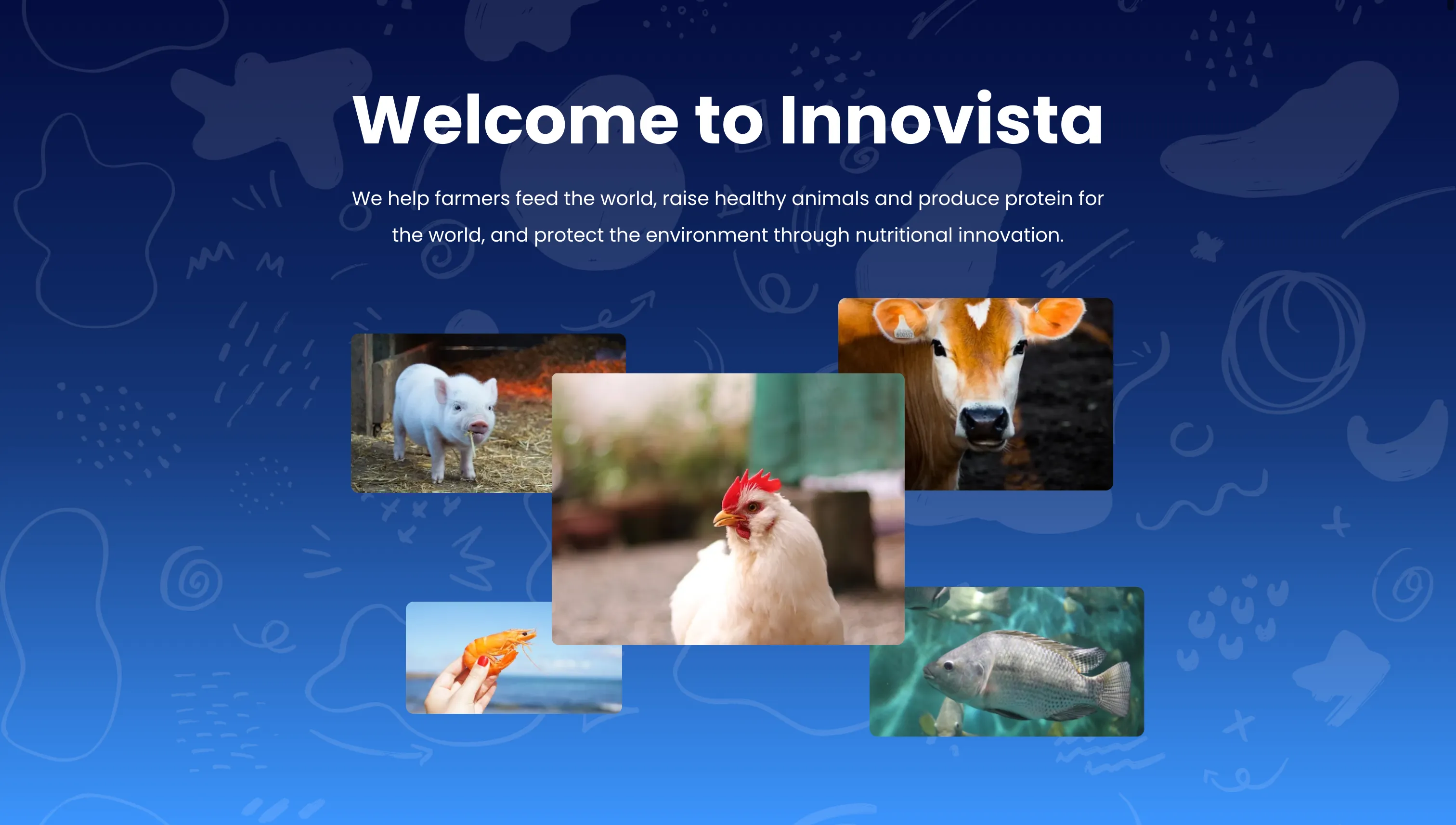 Welcome to Innovista | Feeding Solutions