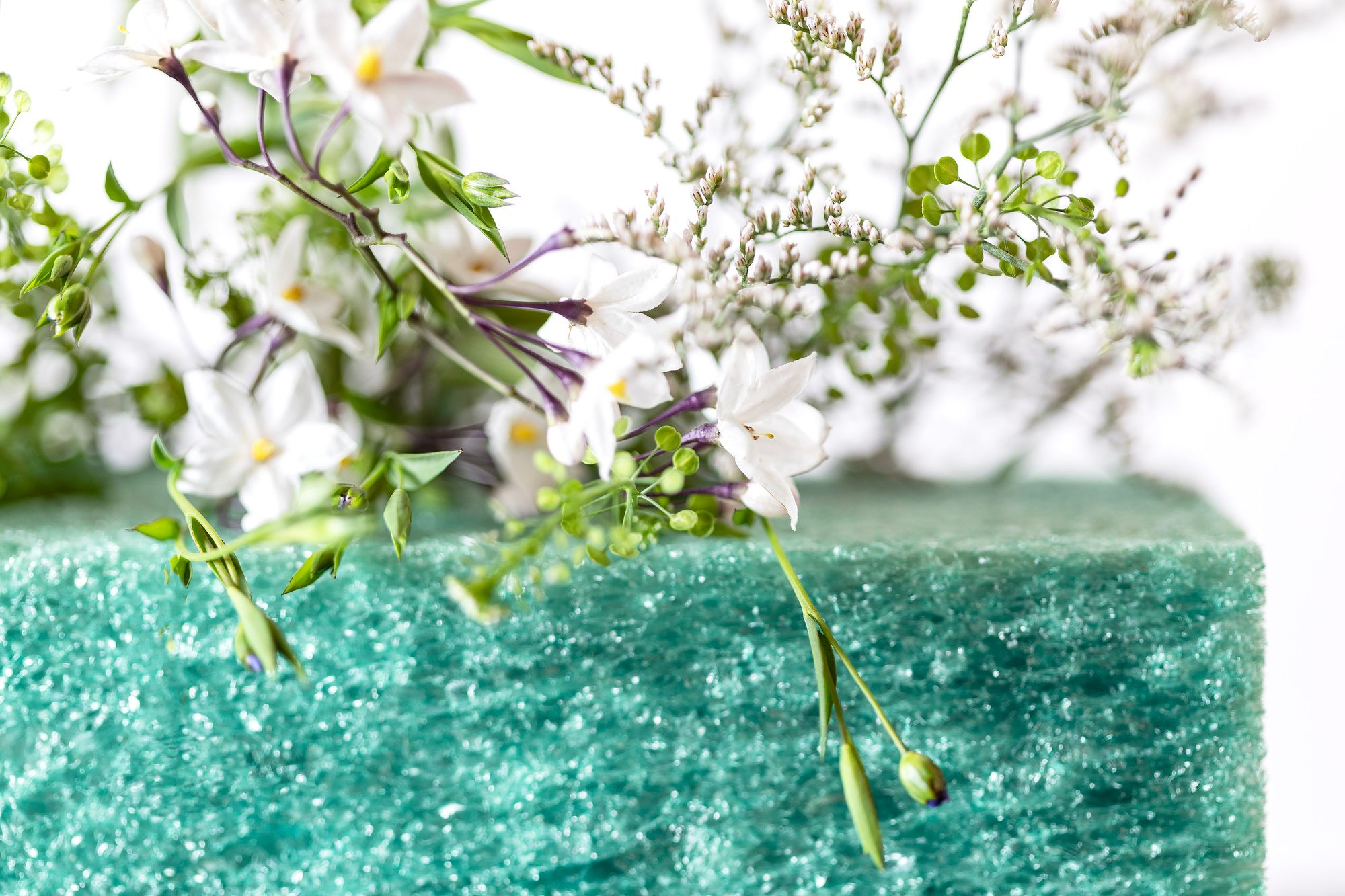 Phoam Labs - Biobased Foam Solutions