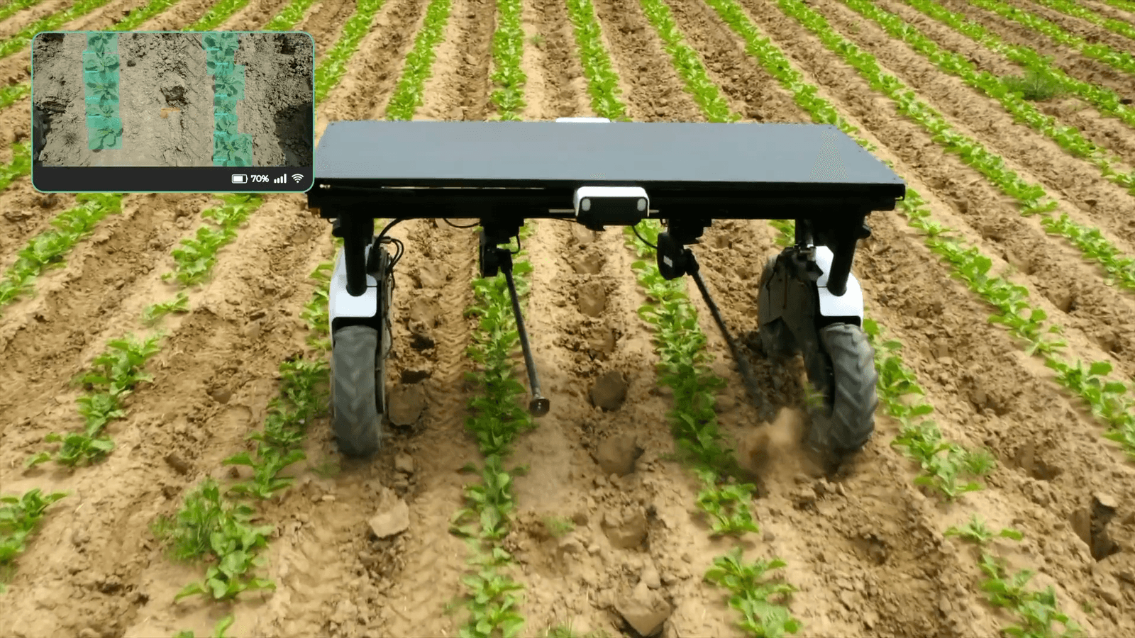 Aigen • Robotics • AI Generated Agriculture