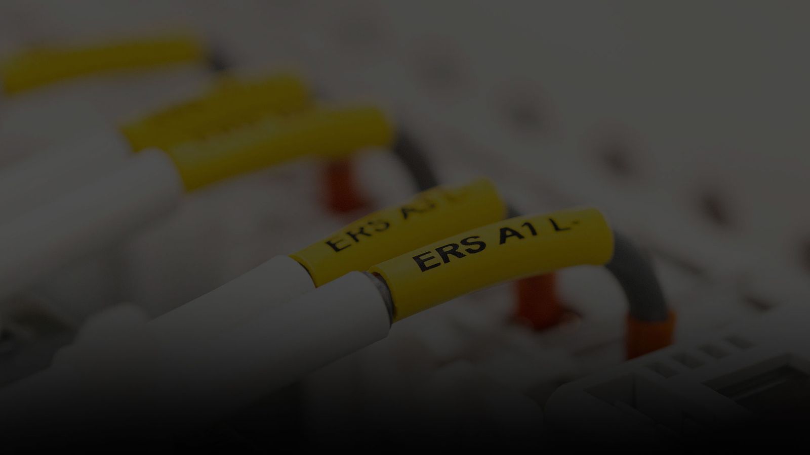 Home - Evesham Electronics