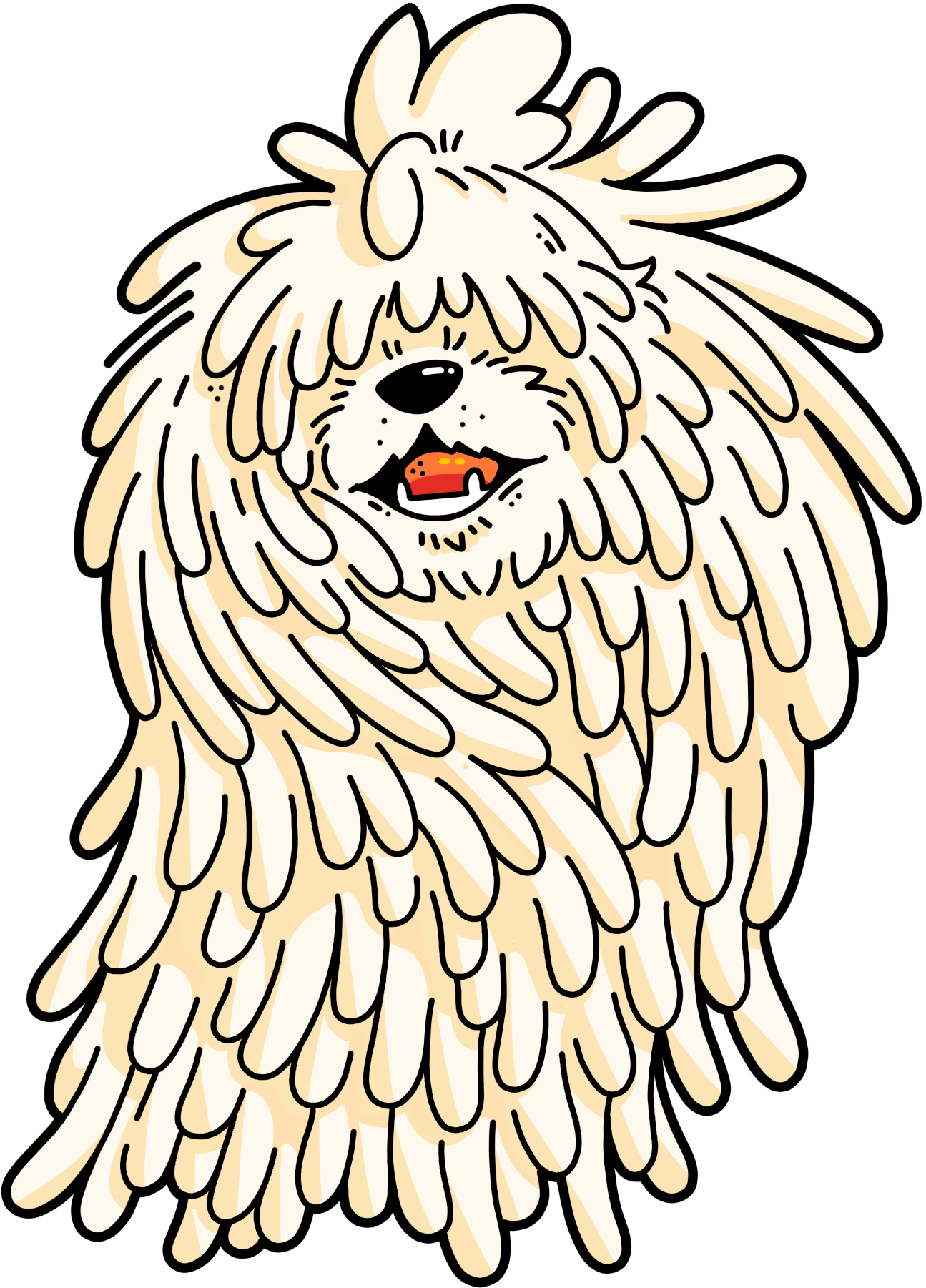 LOBO | Dog Grooming | Austin TX