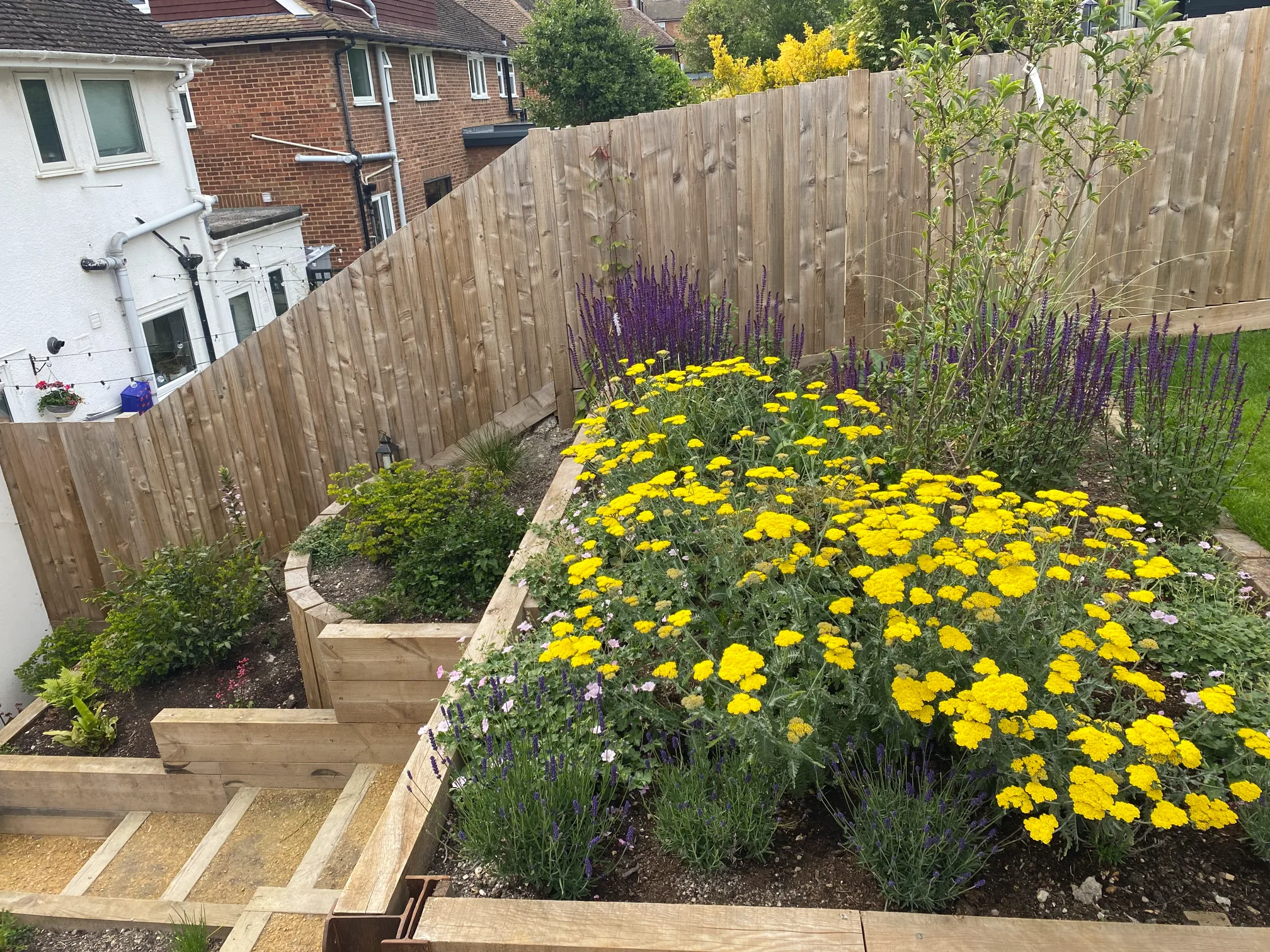 Sussex levels garden | Sustainable Gardening Design and Maintainence ...