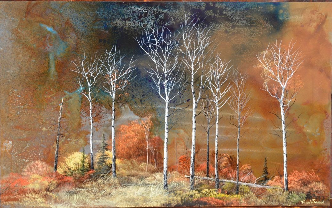 Trevor V. Swanson | Fine Art